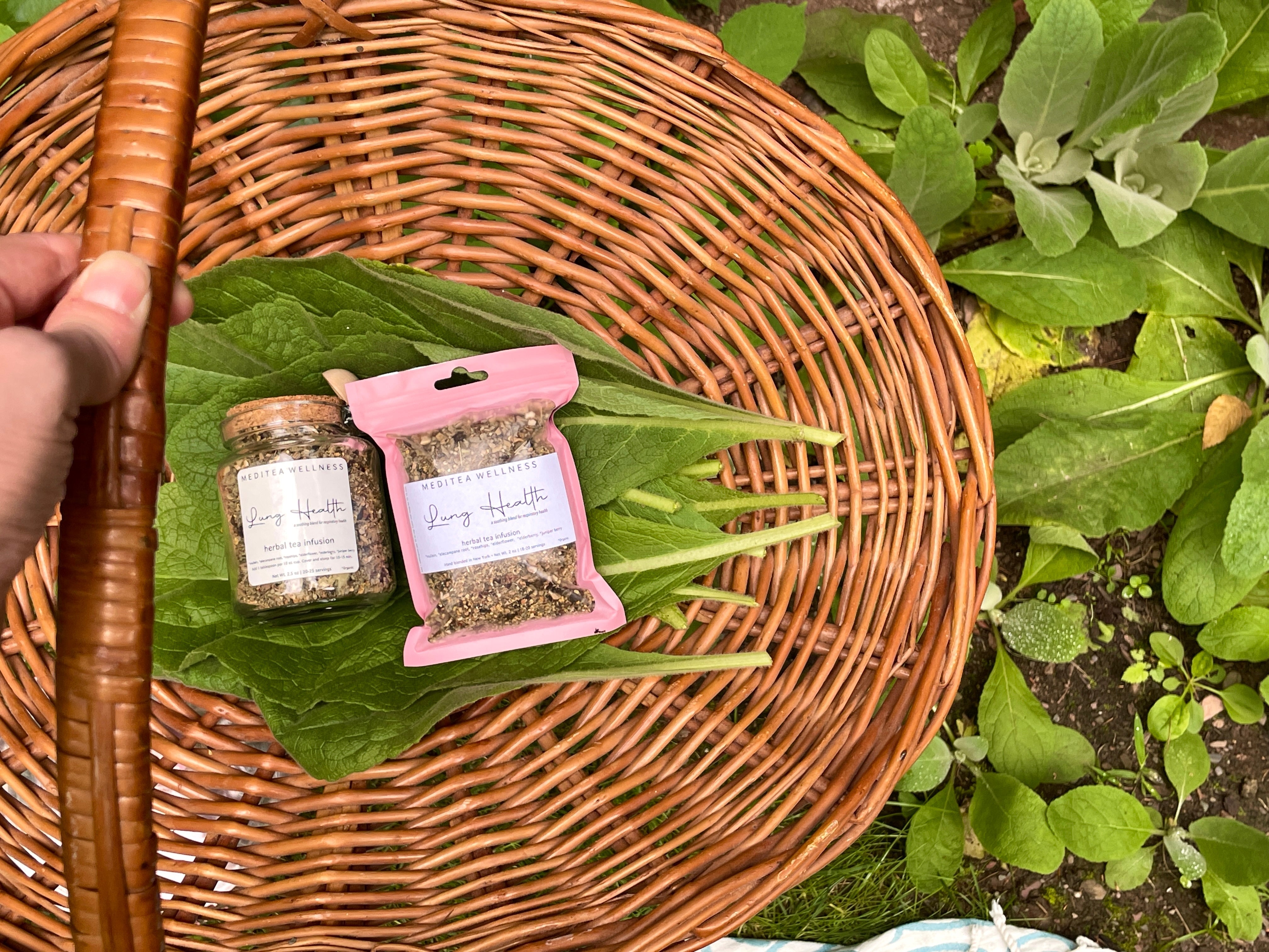 Mullein Tea: A Complete Herbalist’s Guide to This Ancient Lung-Support ...